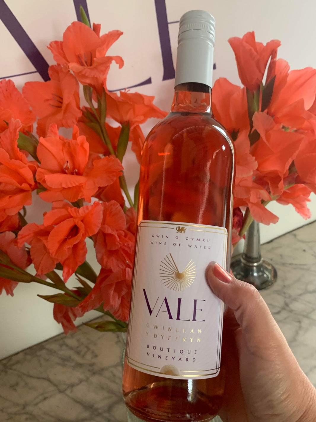 Vale Vineyard Denbigh, Wine Tasting Wales, Vineyard North Wales