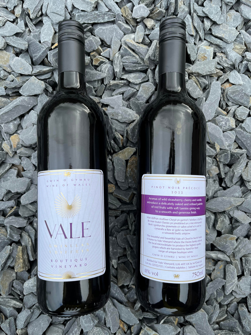 Vale Vineyard Denbigh, Wine Tasting Wales, Vineyard North Wales