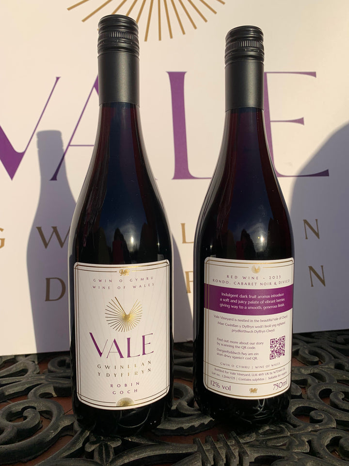 Vale Vineyard Denbigh, Wine Tasting Wales, Vineyard North Wales