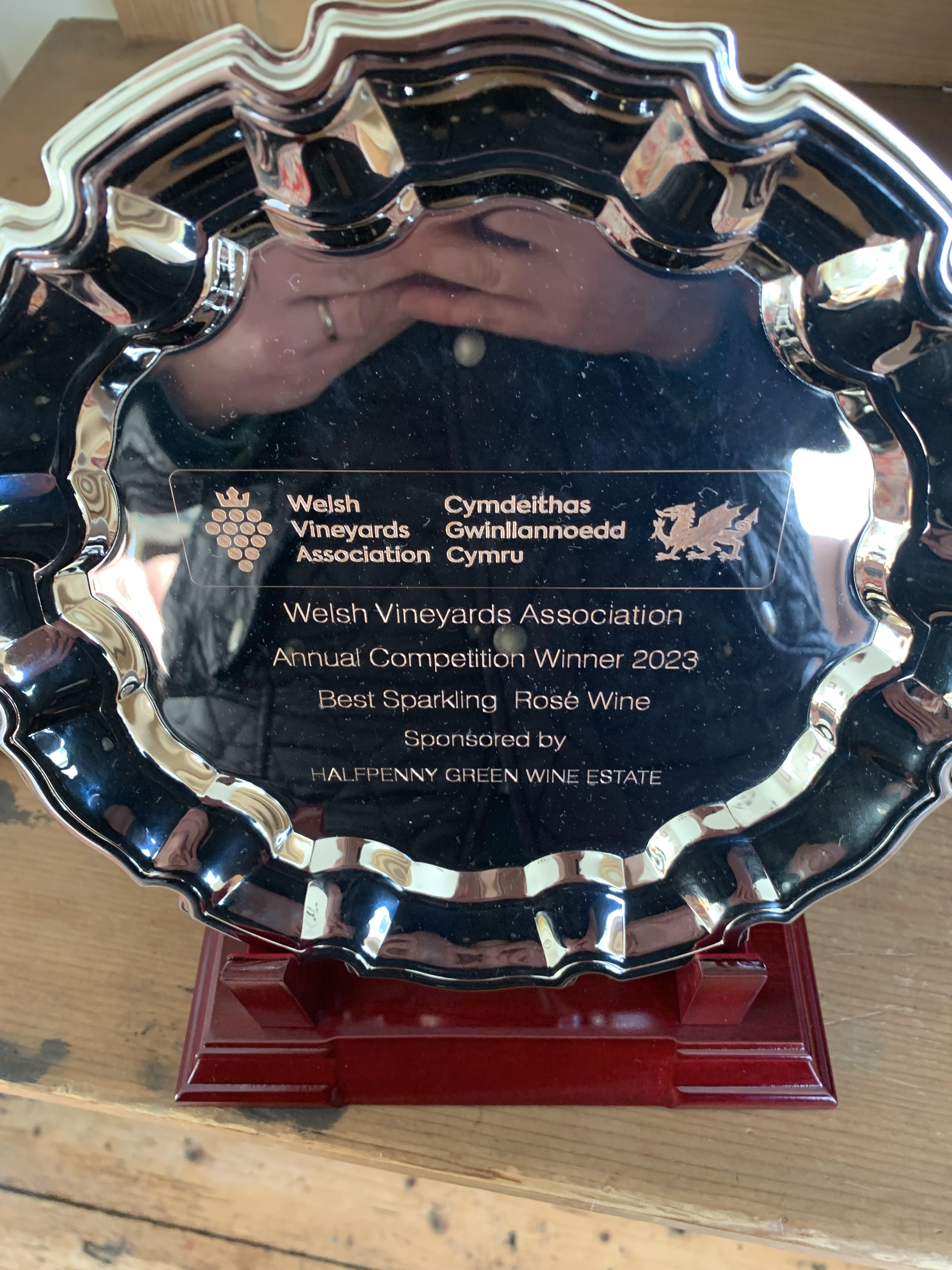 Vale Vineyard Denbigh, Wine Tasting Wales, Vineyard North Wales